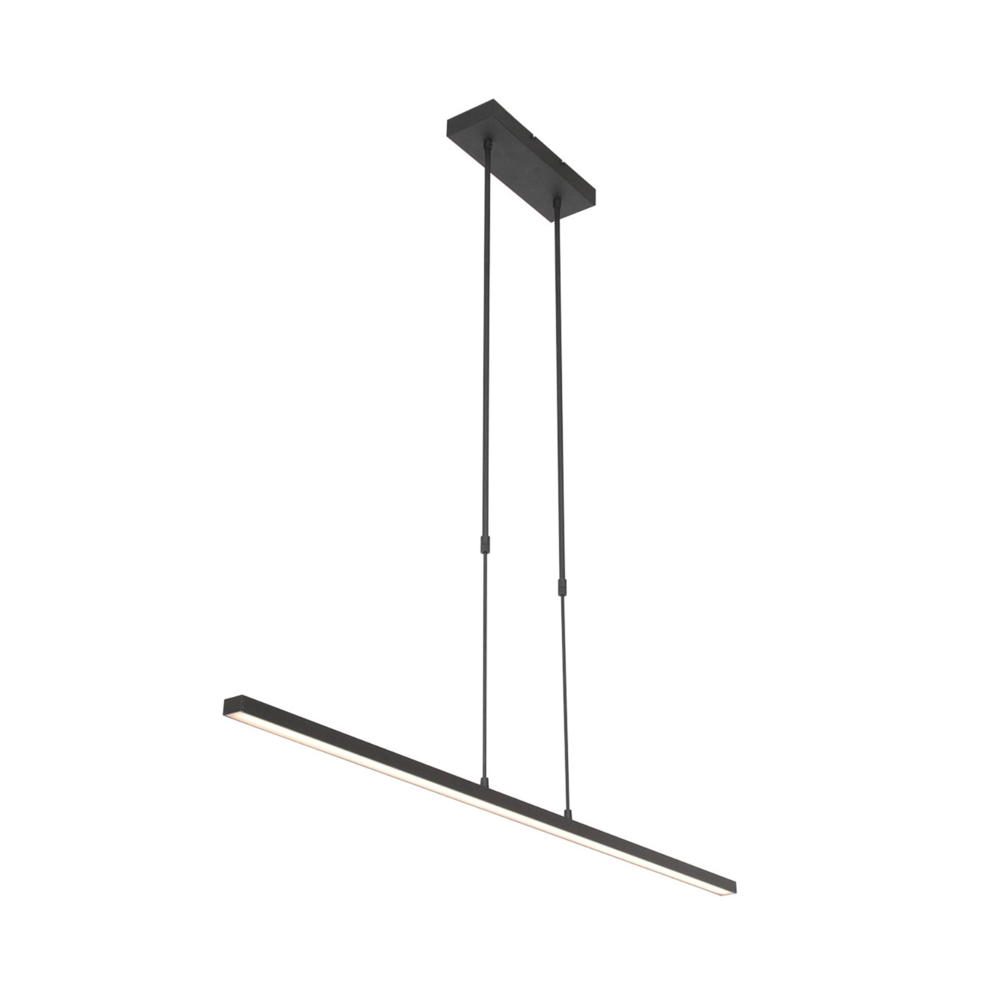BANDE Hanging Height Adjustable Strip Light – Milola.ch